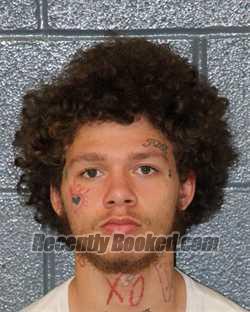 Recent Booking / Mugshot for REGINALD HARRISON in Mecklenburg County ...