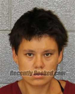 Recent Booking / Mugshot for JESSICA LASHAY ROBINSON in Mecklenburg ...