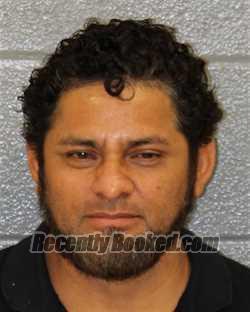 Recent Booking / Mugshot for JERONIMO ALFARO in Mecklenburg County ...