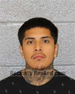 Recent Booking / Mugshot for IRVIN ALBERTO VELAZQUEZ in Mecklenburg ...