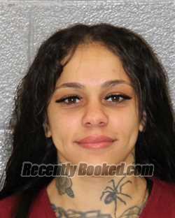 Recent Booking / Mugshot for BRITTANY NICHOLE AYERS in Mecklenburg ...