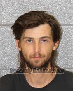 Recent Booking / Mugshot for BRANDON T HELMS in Mecklenburg County ...