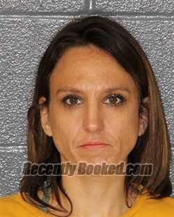 Recent Booking / Mugshot for MISTY DENISE TYSON in Mecklenburg County ...