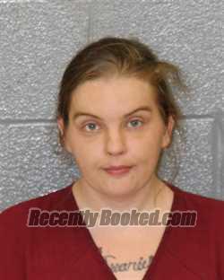 Recent Booking / Mugshot for BRITTANY DIANE TAYLOR in Mecklenburg ...