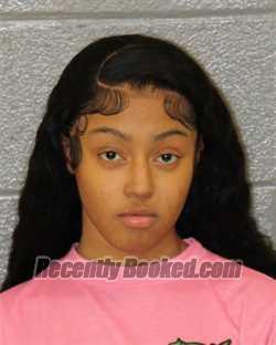 Recent Booking / Mugshot for DANIELLE JALAYAH JACKSON in Mecklenburg ...