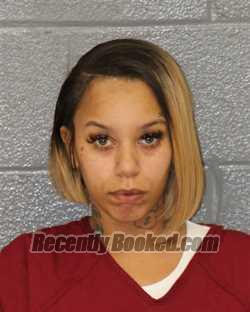 Recent Booking / Mugshot for MORGAN NICOLE FOWLER in Mecklenburg County ...