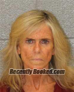 Recent Booking / Mugshot for GABRIELLA GALLO in Mecklenburg County ...
