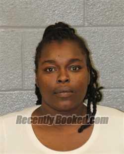 Recent Booking / Mugshot for ERICA MARIE SPELLS in Mecklenburg County ...