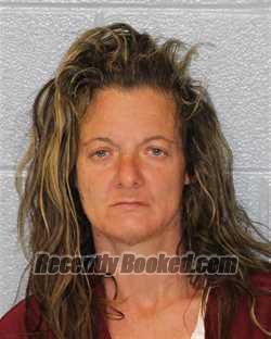 Recent Booking / Mugshot for TERRIN BRITTANY DOVER in Mecklenburg ...
