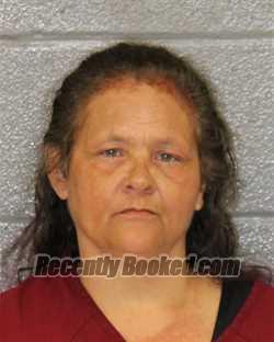Recent Booking / Mugshot for PATRICIA DIANE TURNER in Mecklenburg ...
