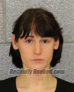 Recent Booking / Mugshot for JOSHUA MICHAEL STOLTENBERG in Mecklenburg ...