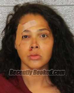 Recent Booking / Mugshot for NICOLET ANN ARCIERI in Mecklenburg County ...