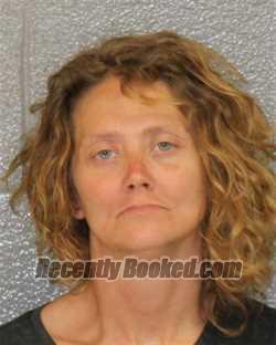 NATASHA WHEATON Arrest Record & Booking Info – Mecklenburg County ...