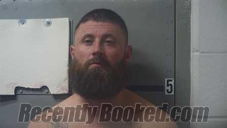 Recent Booking / Mugshot for CHRISTOPHER R MANNING in Mason County ...