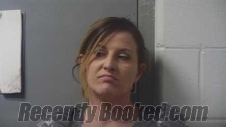 Recent Booking / Mugshot for HEATHER NICOLE WORKMAN in Mason County ...