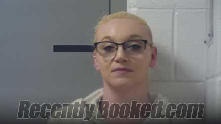 Recent Booking / Mugshot for NICHOLE ELIZABETH GILLIAM in Mason County ...