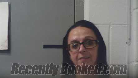Recent Booking / Mugshot for RACHEL MICHELLE HAMILTON in Mason County ...