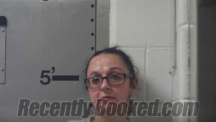 Recent Booking / Mugshot for RACHEL MICHELLE HAMILTON in Mason County ...
