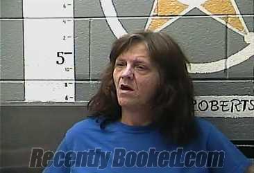 Recent Booking / Mugshot for ELIZABETH REED in Montgomery County, Kentucky