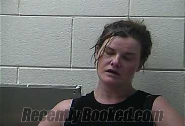 Recent Booking / Mugshot for TYRA WELLS in Montgomery County, Kentucky