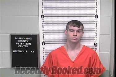 Recent Booking / Mugshot for LEVI WAYNE SHEMWELL in Muhlenberg County ...