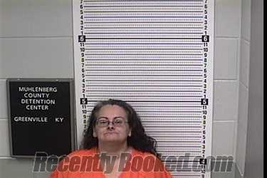 Recent Booking / Mugshot for AMANDA JEAN JOHNSON in Muhlenberg County ...