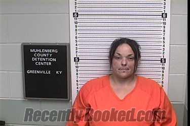 Recent Booking / Mugshot for CRYSTAL GAYLE ARMSTRONG in Muhlenberg ...