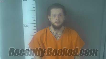 Recent Booking / Mugshot for ANDREW TYE PATRICK in Nelson County, Kentucky
