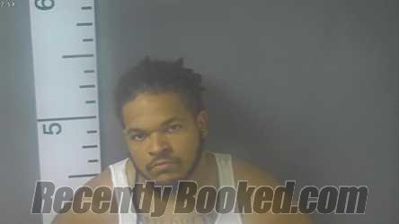 Recent Booking / Mugshot for DONOVAN LAVELL PITMON in Nelson County ...