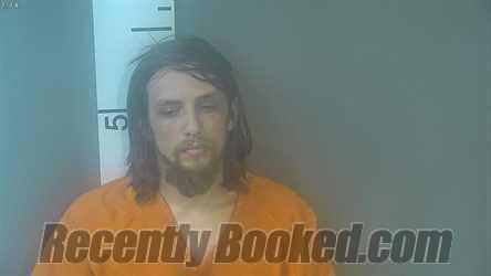 Recent Booking / Mugshot for DEVIN TYLER SWEENEY in Nelson County, Kentucky