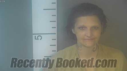 Recent Booking / Mugshot for JENNIFER JUNE ROWLETT in Nelson County ...