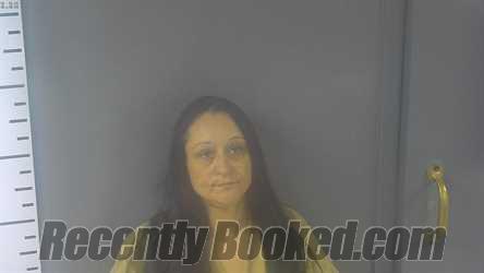 Recent Booking / Mugshot for KEELY MARIE LOGSDON in Nelson County, Kentucky
