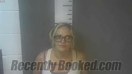 LOGAN NOEL-MARLENE OLSON Arrest Record & Booking Info – Nelson County ...