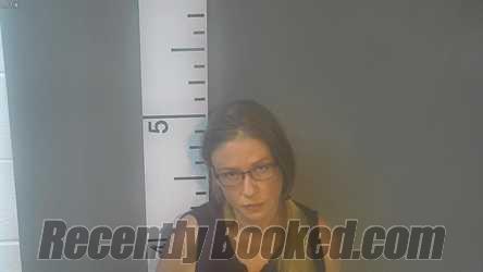 Recent Booking / Mugshot for MELISSA JEAN CAMBRON in Nelson County ...
