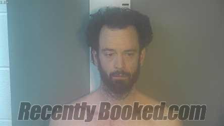 Recent Booking / Mugshot for MICHAEL LYNN METCALF in Nelson County ...