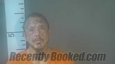 Recent Booking / Mugshot for WILLIAM SHANNON MCDONALD in Nelson County ...
