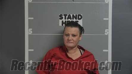 Tara L Purvis Mugshot & Arrest Info | Ohio County, KY