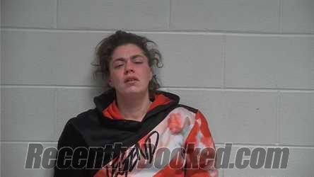 Recent Booking / Mugshot for STEPHANIE KAY JOHNSON in Oldham County ...