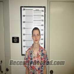 Recent Booking / Mugshot for WILLIAM ZACHARY STONE in Montgomery County ...