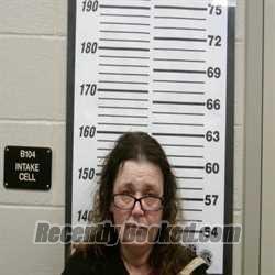 Recent Booking / Mugshot for KATHY LYNN BROWER in Montgomery County ...