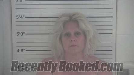 Recent Booking / Mugshot for DAWN JOANNE DRESSLER in Pendleton County ...