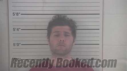 Recent Booking / Mugshot for MICHAEL SHANE FRALEY in Pendleton County ...