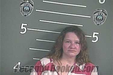 Recent Booking / Mugshot for AMANDA L WOLFORD in Pike County, Kentucky