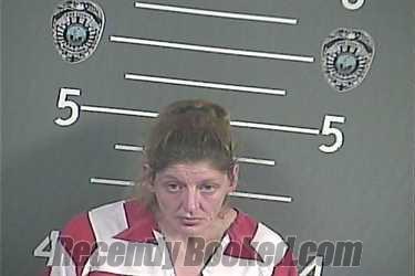 Recent Booking / Mugshot for HEATHER ROWE in Pike County, Kentucky