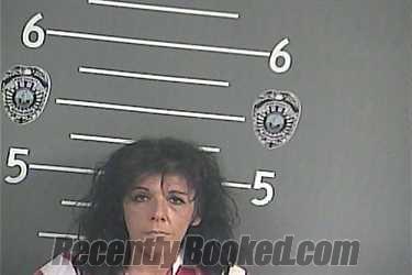 Recent Booking / Mugshot for SABRINA C HOWELL in Pike County, Kentucky