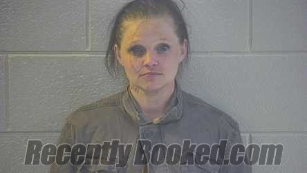 Recent Booking / Mugshot for ANGELA N MARLER in Pulaski County, Kentucky