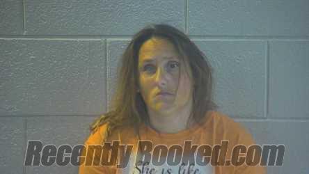 Recent Booking / Mugshot for AMBER OLIVIA RIDNER in Pulaski County ...
