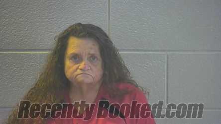 Recent Booking / Mugshot for BRENDA ANNETTE STEPHENS in Pulaski County ...