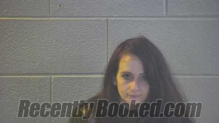 Recent Booking / Mugshot for CHRISTINA NICOLE ALLRED in Pulaski County ...