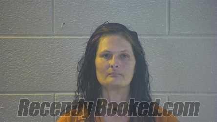 Recent Booking / Mugshot for EMILEE MICHELLE KARRIKER in Pulaski County ...